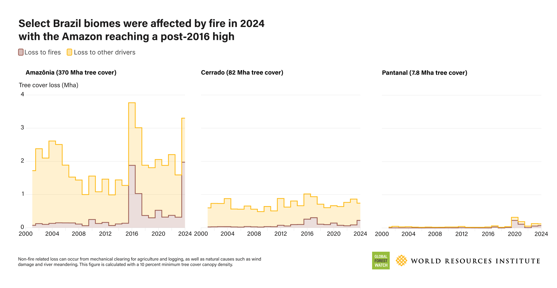 Kebakaran Menjadi Penyebab Kehilangan Hutan Tropis Terparah Sepanjang 2024 | World Resources ...